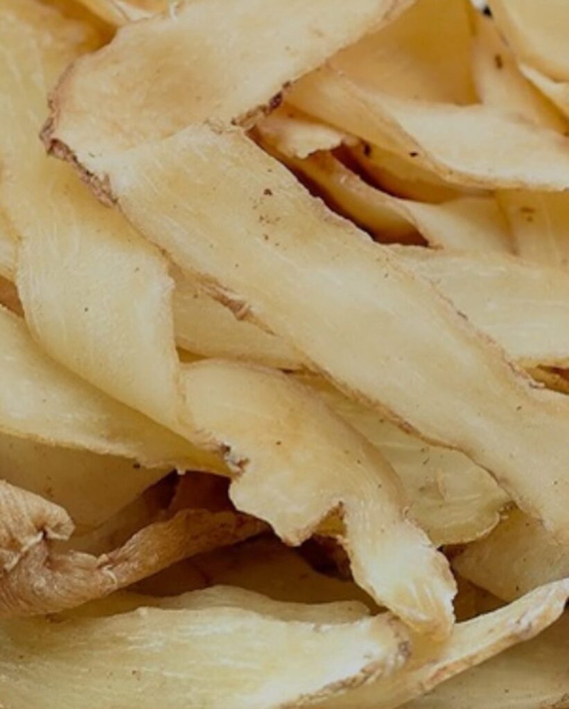 Solomon’s Seal Root | Stone and Shadow